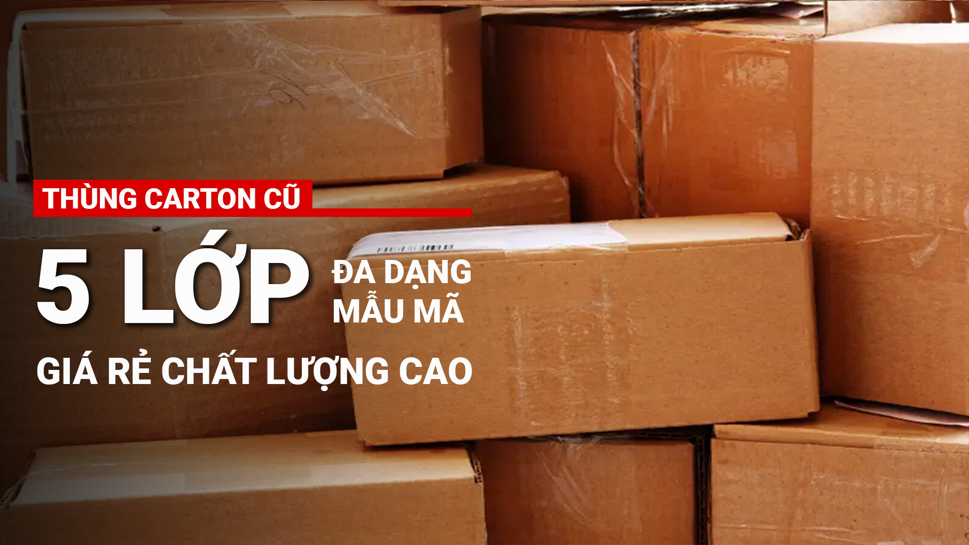 Các Loại Sóng Carton Thông Dụng Nhất Hiện Nay
