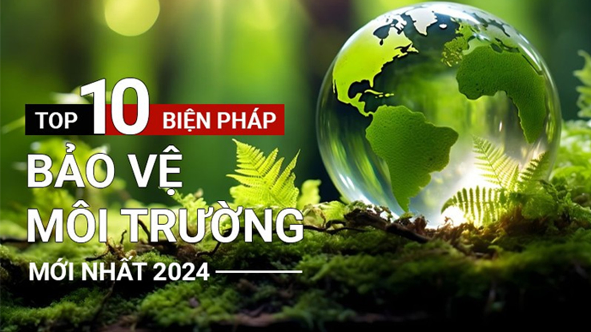Top 10 biện pháp bảo vệ môi trường hiệu quá mới nhất 2024